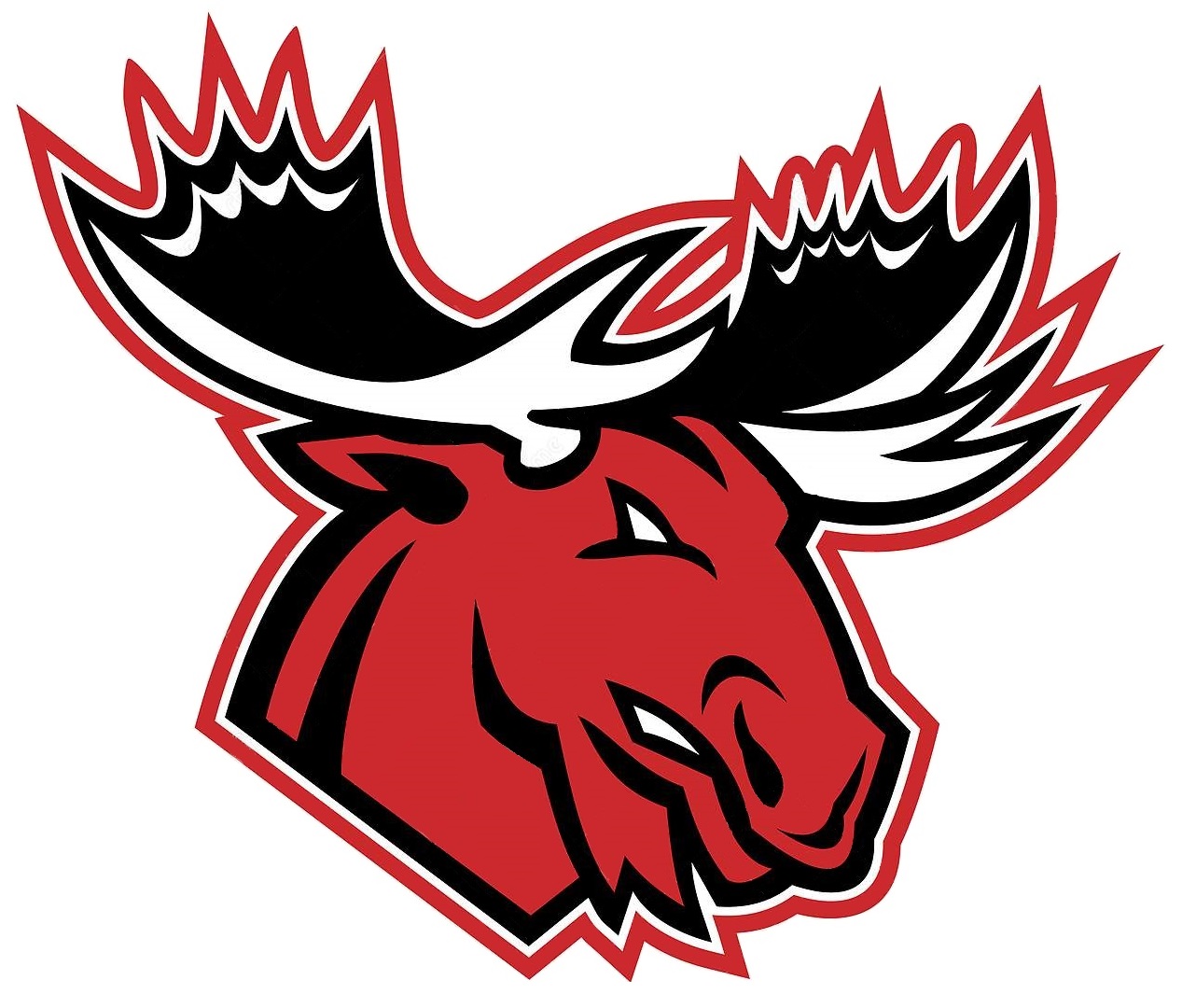 JSHL Hockey - Ligue de hockey cosom amicale à Québec